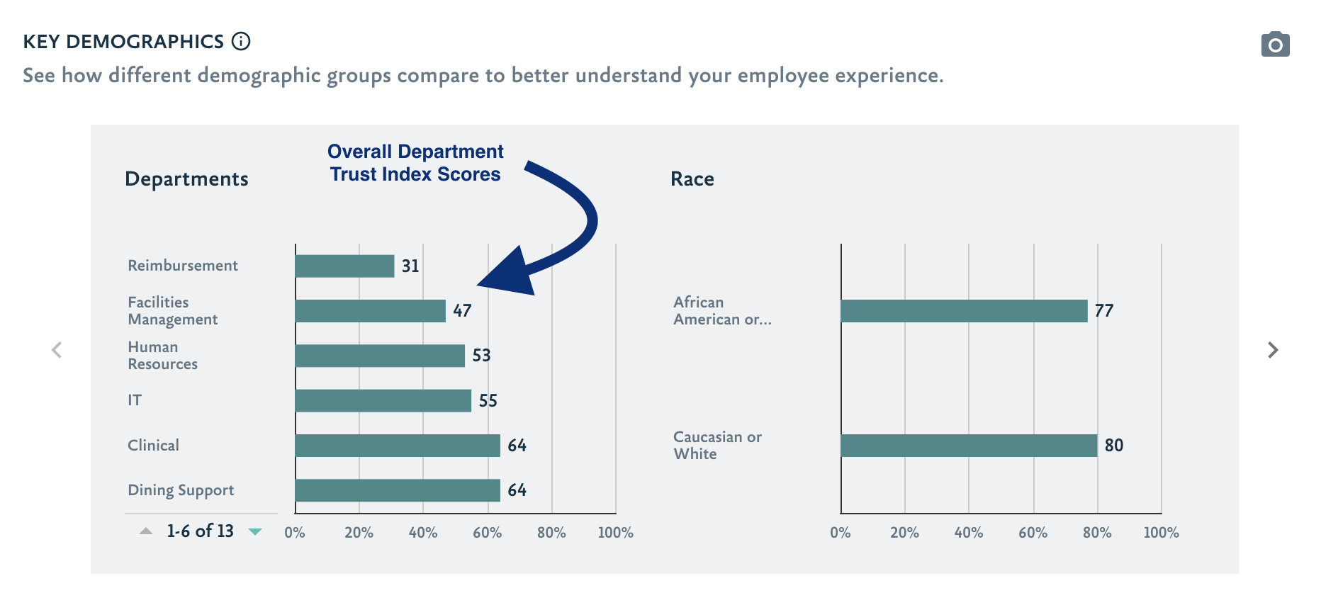 How to Use the Key Demographics Section
